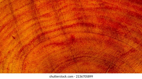 9,429 Datum fruit Images, Stock Photos & Vectors | Shutterstock