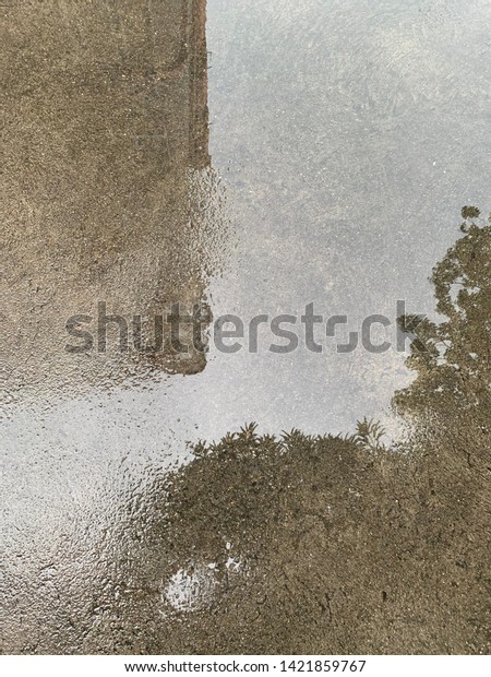 Background Texture Surface Wet Floor Ground Stock Photo 1421859767 ...