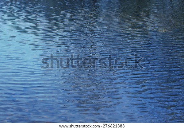Background Texture Water Puddle Stock Photo 276621383 | Shutterstock