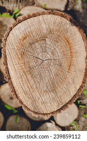 328 Truncated Circle Images, Stock Photos & Vectors | Shutterstock