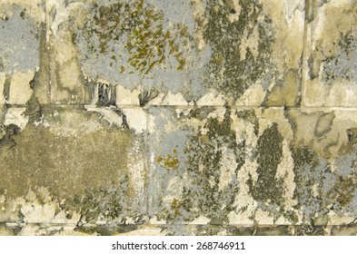 Background Wall Pattern Texture Stock Photo 268746911 | Shutterstock