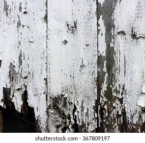 480 Wet Rot Timber Images, Stock Photos & Vectors | Shutterstock