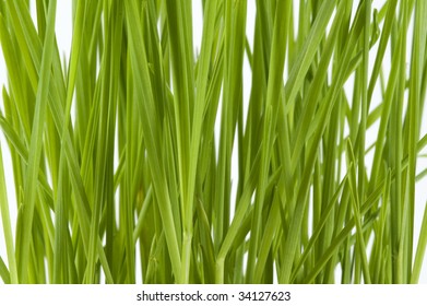 Background Wheat Grass Stock Photo 34127623 | Shutterstock