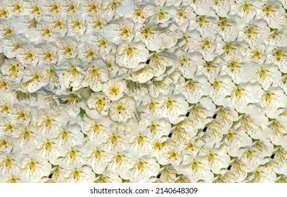 1,634 Minneapolis spring Images, Stock Photos & Vectors | Shutterstock