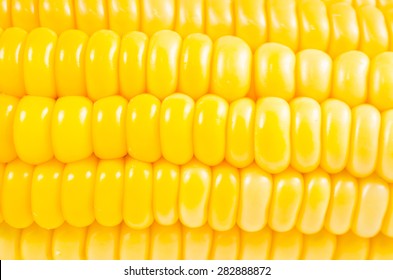 Background Yellow Fresh Corn Texture Stock Photo 282888872 | Shutterstock