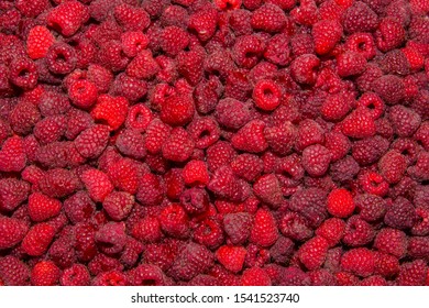 Backgroundtexture Red Overripe Raspberry Rubus Idaeus Stock Photo (Edit ...