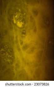 Backlit Marble Texture Stock Photo 23073826 | Shutterstock
