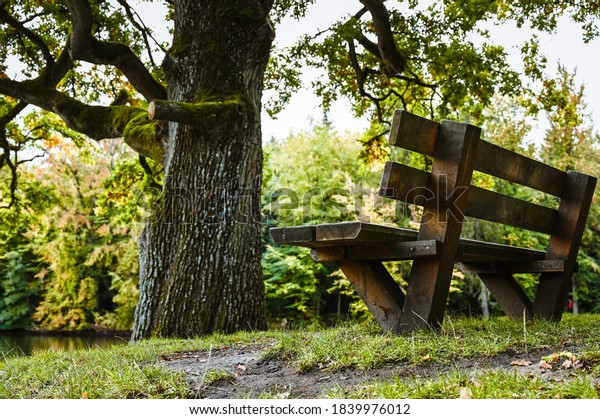 Backside View Park Bench Standing Front Stock Photo 1839976012 ...
