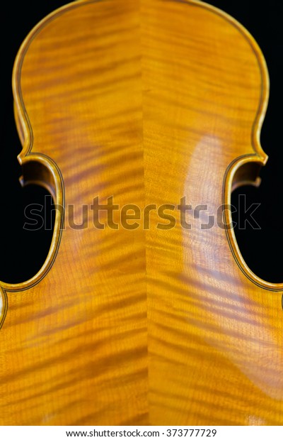 Backside Violin Stock Photo 373777729 | Shutterstock
