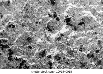Bacteria Cells Under Microscope Multiplication Bacteria Stock Photo ...