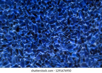 Bacteria Cells Under Microscope Multiplication Bacteria Stock Photo ...