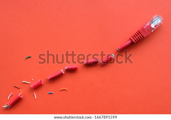 Badly Damaged Internet Patch Cord Connector Stock Photo 1667891599 ...