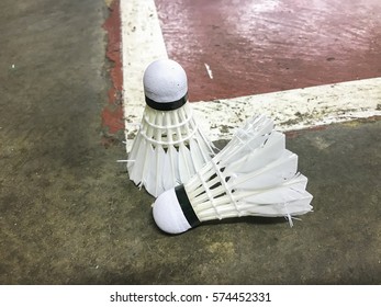 Badminton Shutter Stock Photo 574452331 | Shutterstock