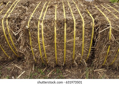 942 Sugar cane bagasse Images, Stock Photos & Vectors | Shutterstock