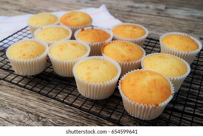 1,183 Baking progress Images, Stock Photos & Vectors | Shutterstock