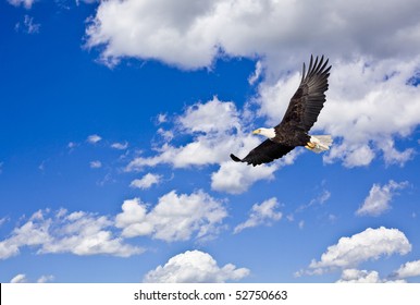 115,823 Eagle sky Images, Stock Photos & Vectors | Shutterstock