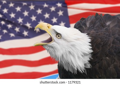American Bald Eagle Symbol America Flag Stock Photo 589791074 ...