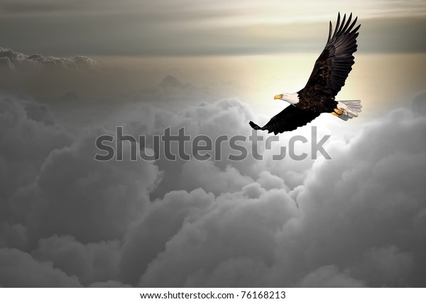 Aigle chauve volant au-dessus des nuages : photo de stock (modifier maintenant) 76168213