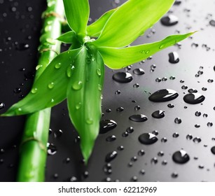 1,177 Bamboo leaf water drop pattern Images, Stock Photos & Vectors ...