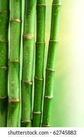 20,867 Light green colour bamboo background Images, Stock Photos ...