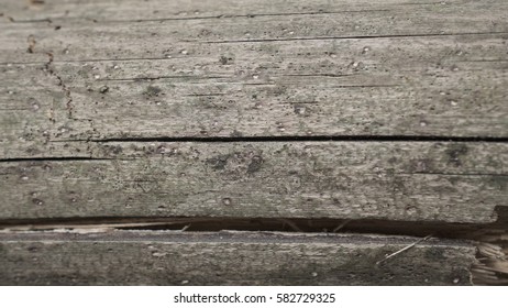Board Formed Bare Concrete Seamless Texture Stock Photo 1063403645 ...