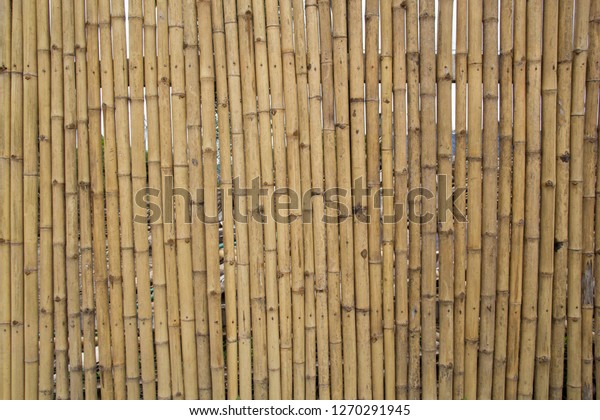 Bamboo Pattern Wall Stock Photo 1270291945 | Shutterstock