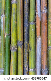 Bamboo Texture Background Vertical Stock Photo 452985847 | Shutterstock