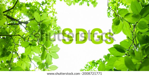 Banner Image Sdgs Stock Photo 2008721771 | Shutterstock