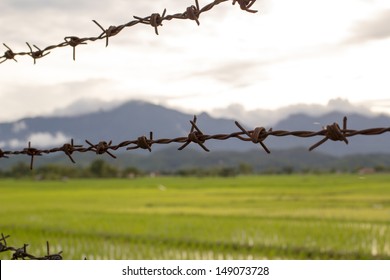 Barbed wire loop : 466 images, photos et images vectorielles de stock ...