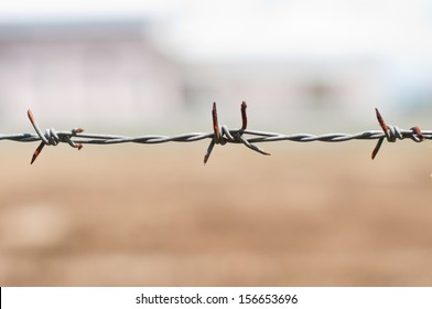 Barbed wire loop : 466 images, photos et images vectorielles de stock ...