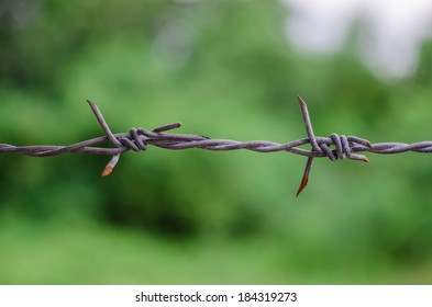 95 imágenes de Wire tine - Imágenes, fotos y vectores de stock ...