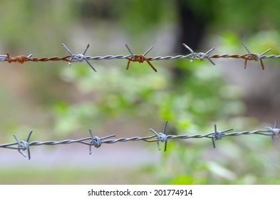 94 Wire tine Images, Stock Photos & Vectors | Shutterstock
