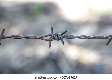 95 imágenes de Wire tine - Imágenes, fotos y vectores de stock ...
