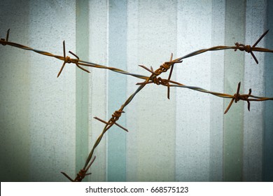 Red Barbed Wire Blue Zinc Background Stock Photo (Edit Now) 1255479301