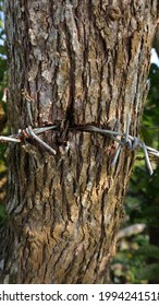 1,185 Barbed wire trench Images, Stock Photos & Vectors | Shutterstock