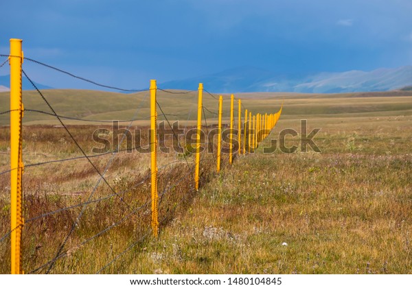 Barbed Wire On Border Border Security Stock Photo 1480104845 | Shutterstock
