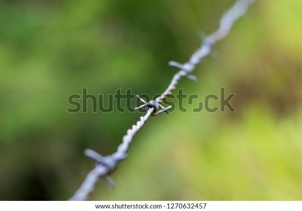 Barbed Wire Ranch Stock Photo 1270632457 | Shutterstock