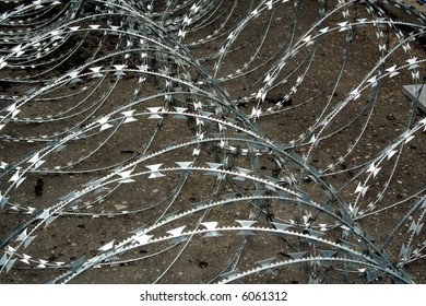 Barbed Wire Razor Sharp Spikes Edges Stock Photo 6061312 | Shutterstock