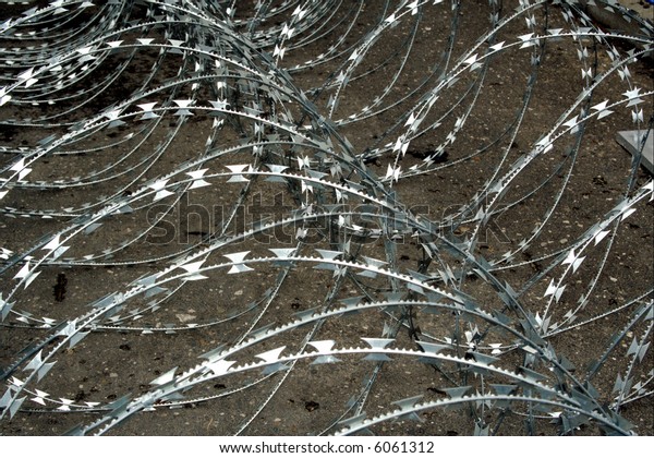 Barbed Wire Razor Sharp Spikes Edges Stock Photo 6061312 | Shutterstock