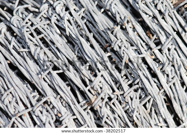 Barbed Wire Texture Stock Photo 38202517 | Shutterstock