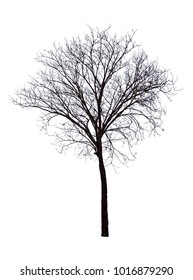 26,271 Brown bare tree Images, Stock Photos & Vectors | Shutterstock