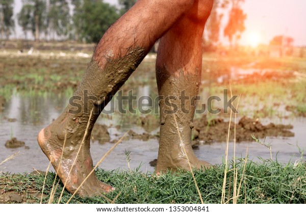 Barefoot Walking Mud Stock Photo 1353004841 | Shutterstock