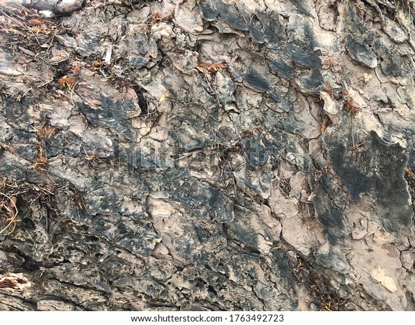 1 Chamak Pattern Images, Stock Photos & Vectors | Shutterstock