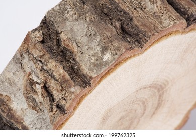 Bark Cross Section Log Stock Photo 199762325 | Shutterstock