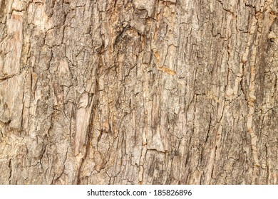 14,741 Rotten Skin Texture Images, Stock Photos & Vectors | Shutterstock