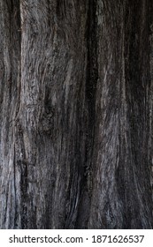 Try our API - Shutterstock