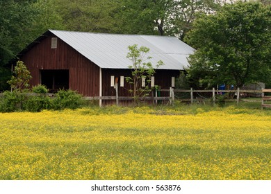 Stock Photo and Image Portfolio by Devon Ess | Shutterstock