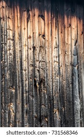 Barn Board Backdrop Background Stock Photo 731568346 | Shutterstock