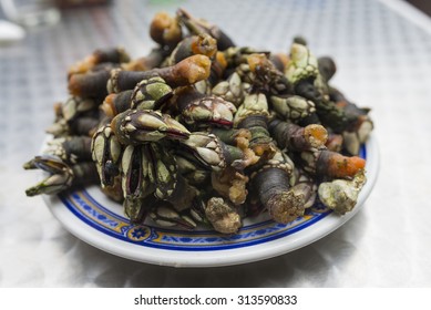 Garden Snails Cooked French Style Butter Stock Photo 1464054131 ...