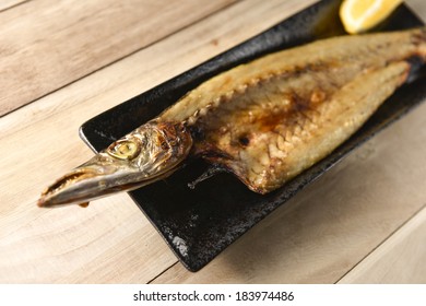 173 Japanese Barracuda Images, Stock Photos & Vectors | Shutterstock